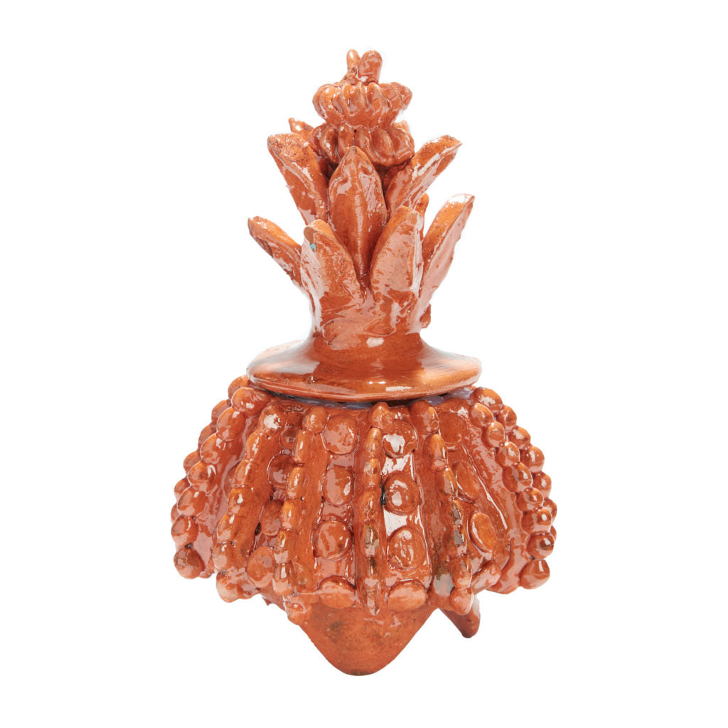 Mini Pina - Terracotta – Kneeland Co. Rarities